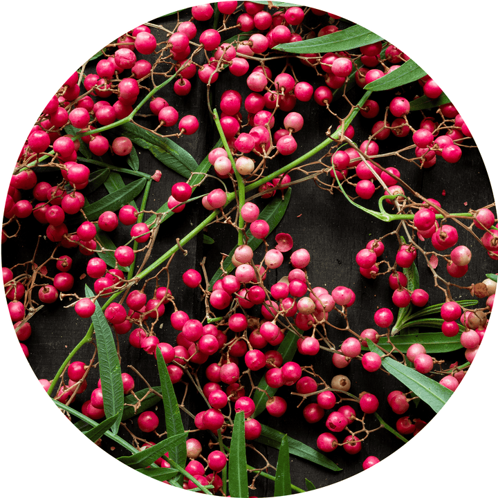 Buy Luxury Long Lasting Fragrances For Men & Women - HUDHUD